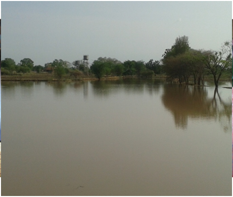Success Stories - Navjeevan Foundation Nashik